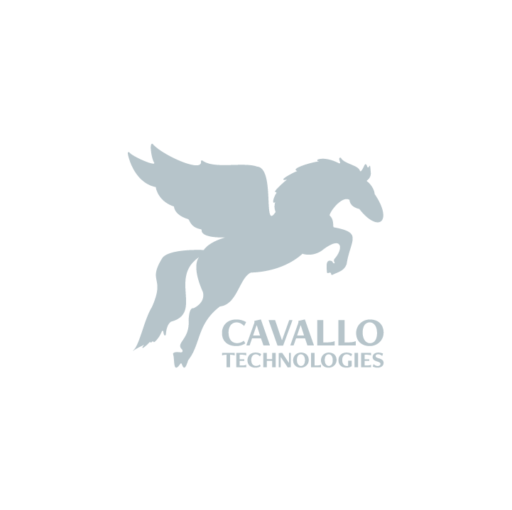 Cavallo Technologies | Expert code. Exceptional results.